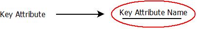 ER Diagram : Key Attribute