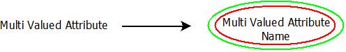 ER Diagram : Multi Valued Attribute